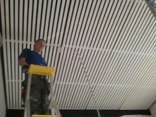 Testfelt spilehimling – Green Advisers AS